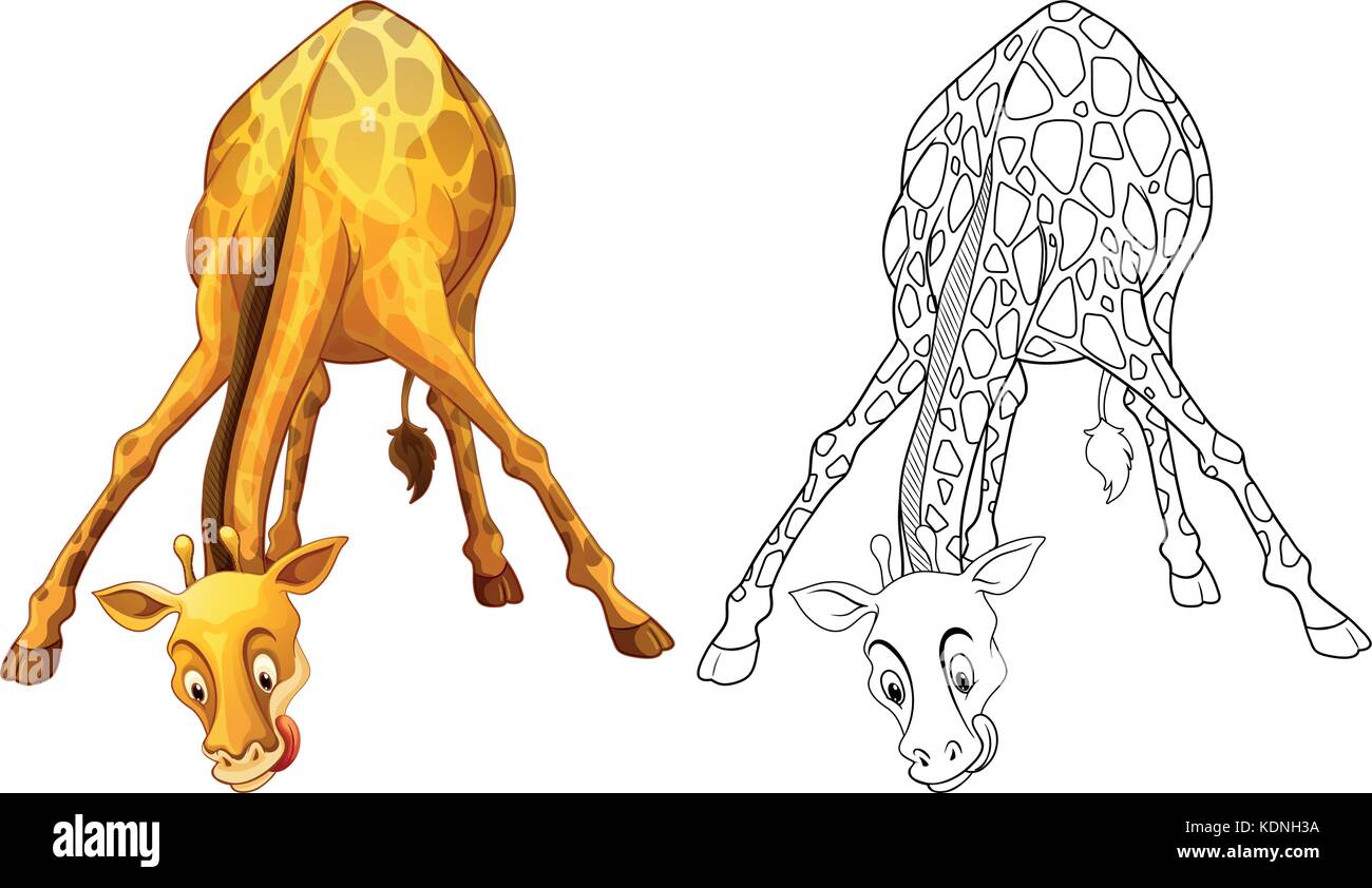 Doodles drafting animal for giraffe illustration Stock Vector Image ...