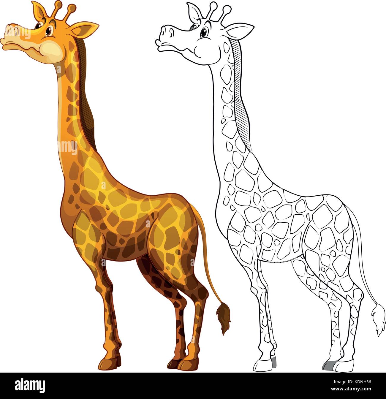 Doodles drafting animal for giraffe illustration Stock Vector Image ...