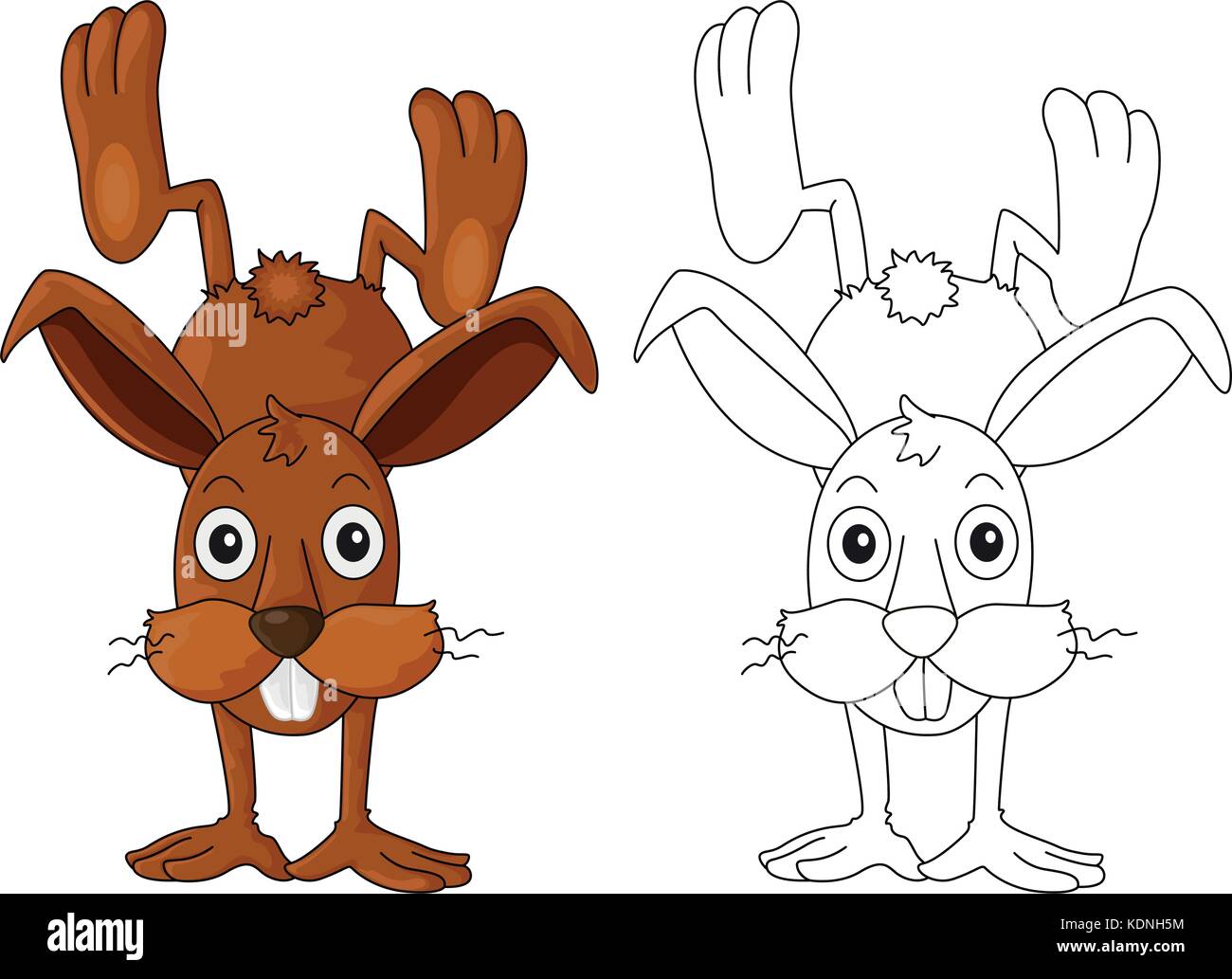 Doodles drafting animal for cute rabbit illustration Stock Vector Image ...
