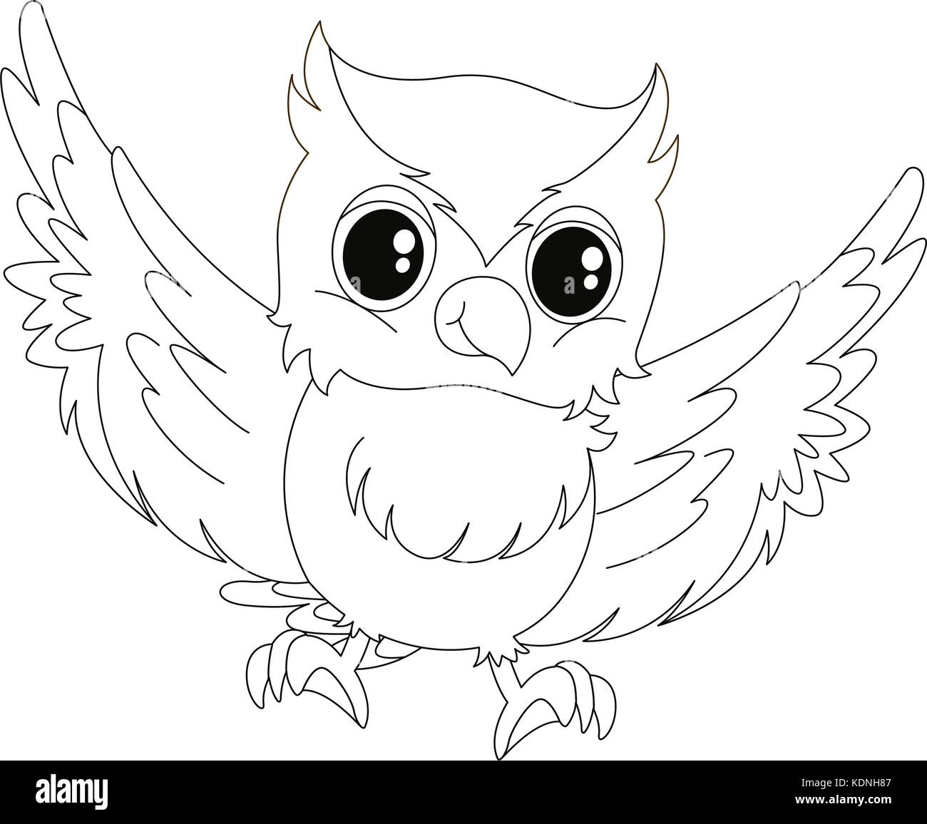 Little owl wings Stock Vector Images - Alamy