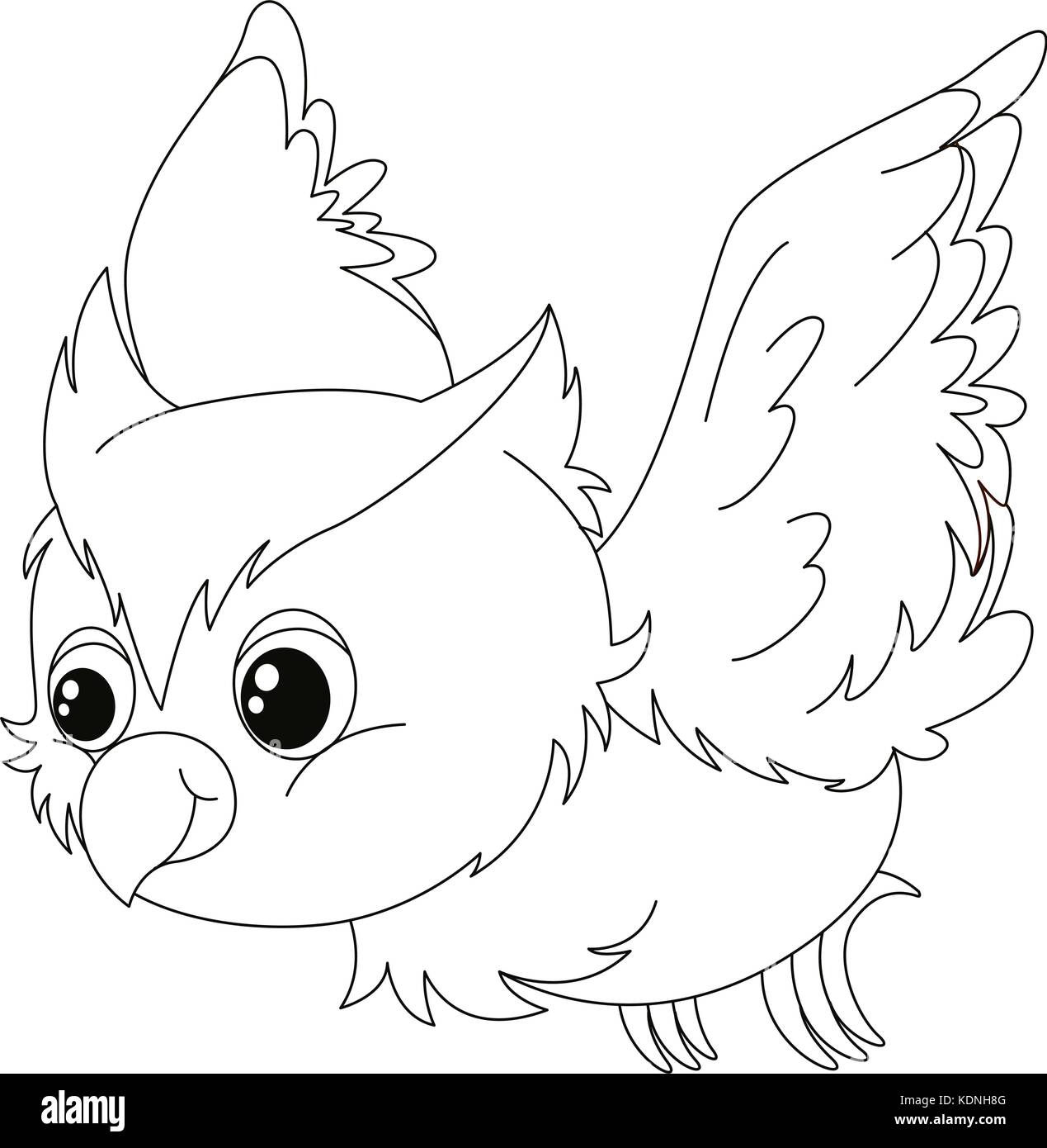 Flying Owl Outline Drawing