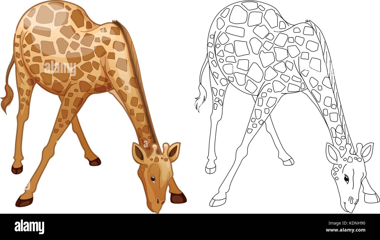 Doodles drafting animal for wild giraffe illustration Stock Vector ...