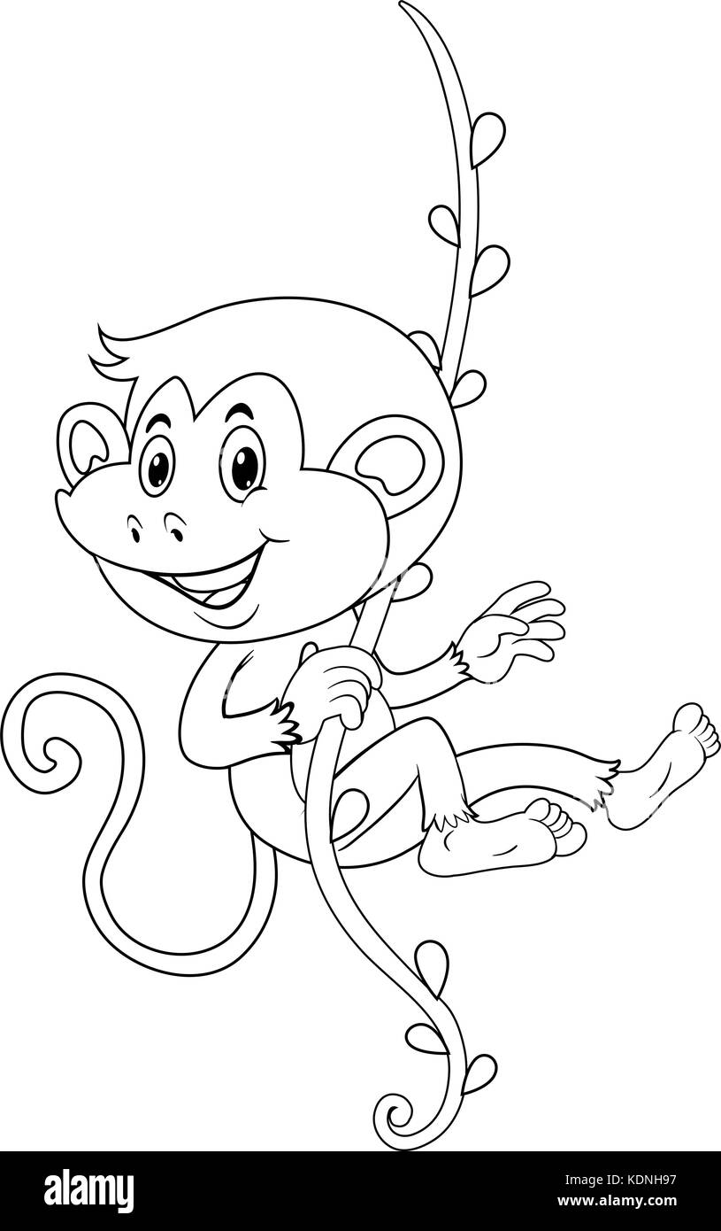 Animal outline for monkey on vine illustration Stock Vector Image & Art ...