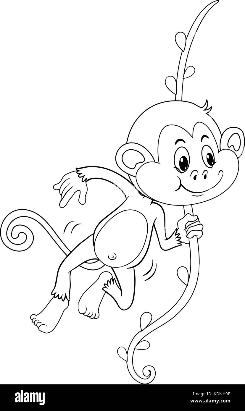 Doodles drafting animal for monkey on vine illustration Stock Vector ...