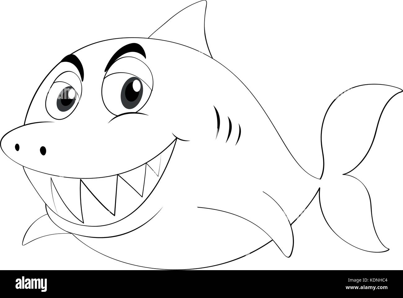 Drafting animal for shark illustration Stock Vector Image & Art - Alamy