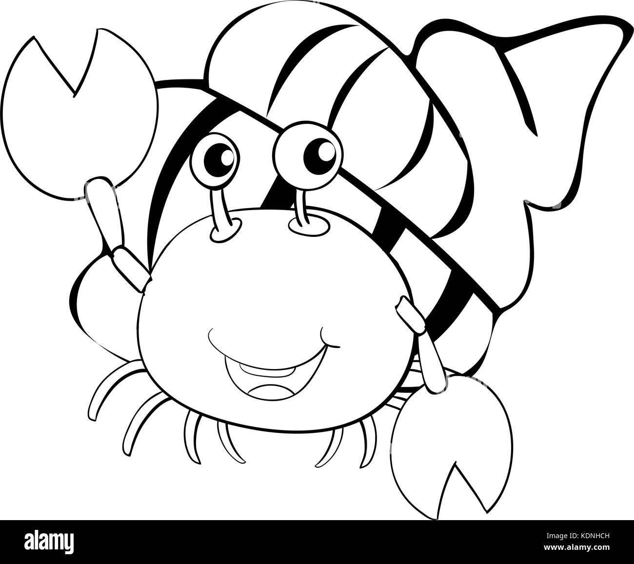 Doodles drafting animal for hermit crab illustration Stock Vector Image ...