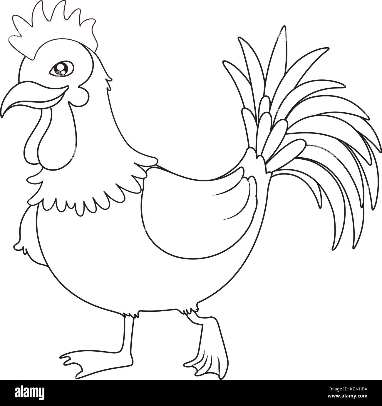 Animal outline for rooster illustration Stock Vector Image & Art - Alamy