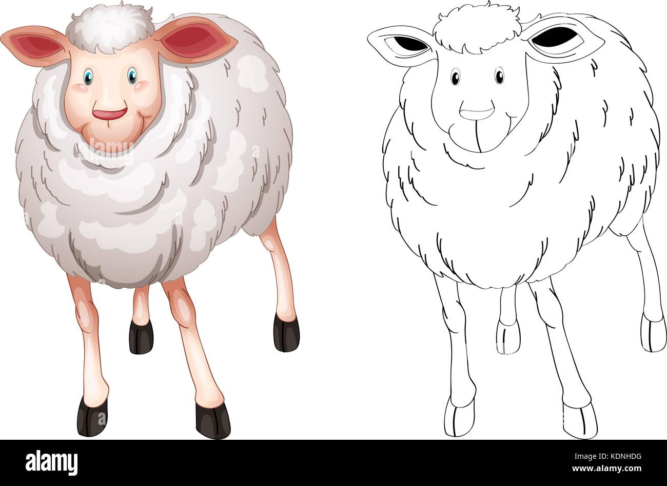 Animal doodle outline for sheep illustration Stock Vector Image & Art ...