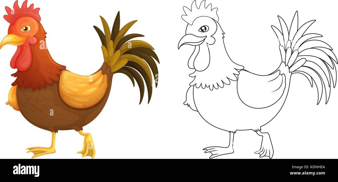 Rooster outline Stock Vector Images - Alamy