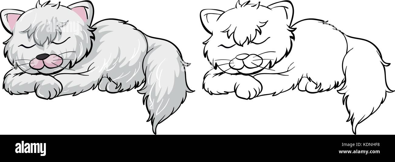 Long hair cat Stock Vector Images - Alamy