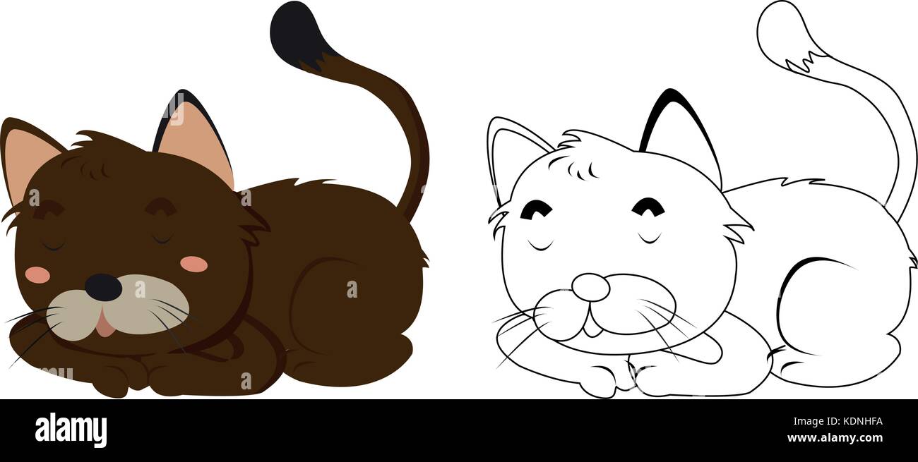 Animal outline for kitten illustration Stock Vector Image & Art - Alamy