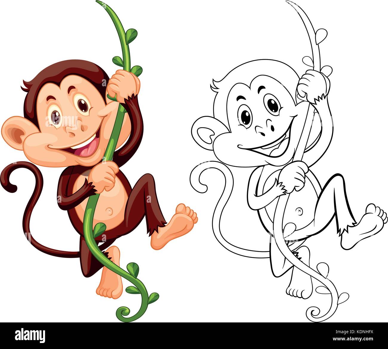 Drafting animal for monkey on vine illustration Stock Vector Image ...