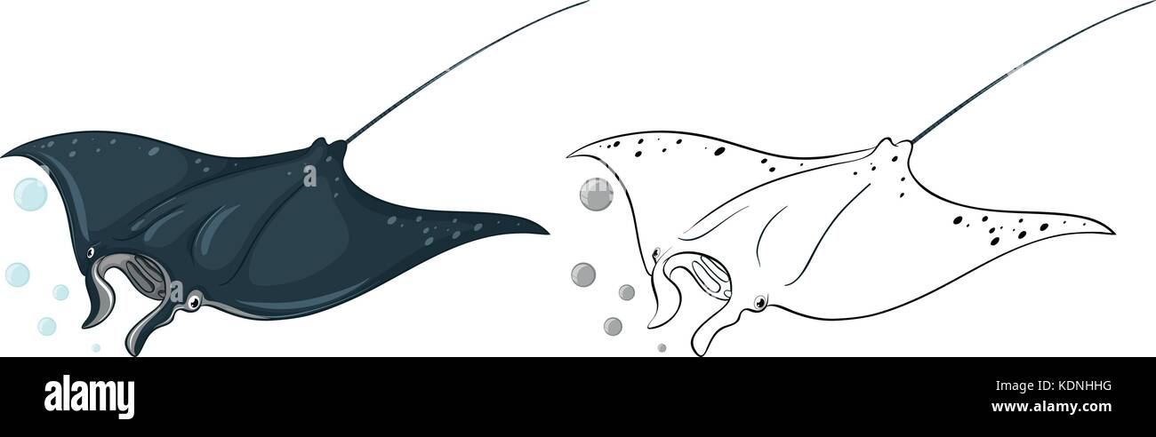 Animal outline for stingray illustration Stock Vector Image & Art - Alamy