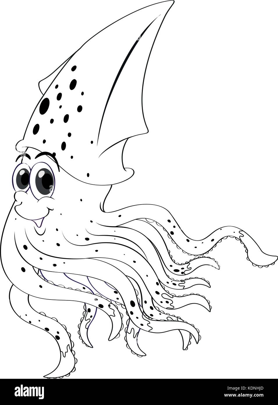 Animal outline for squid illustration Stock Vector Image & Art - Alamy