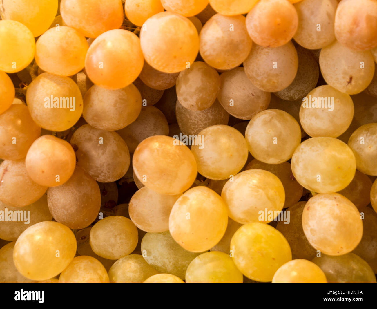 White grapes in market Stock Photo - Alamy