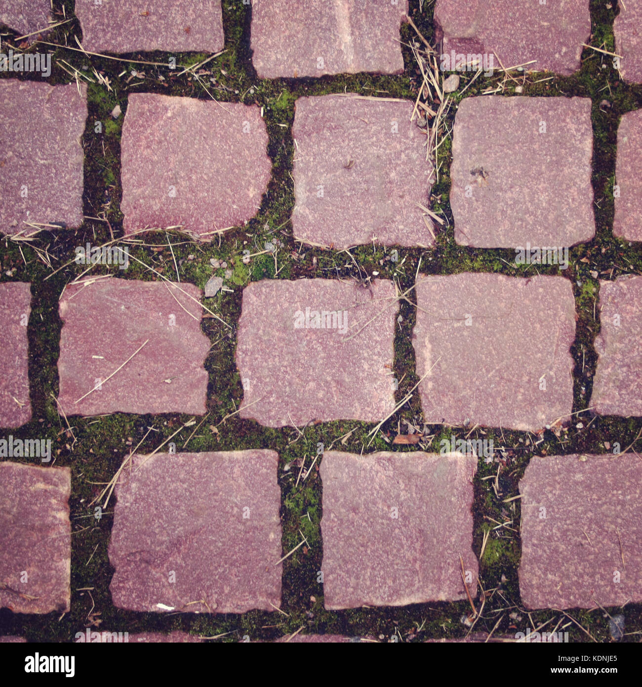 Old pavement with pink colored stones and moss growing through. Aged ...