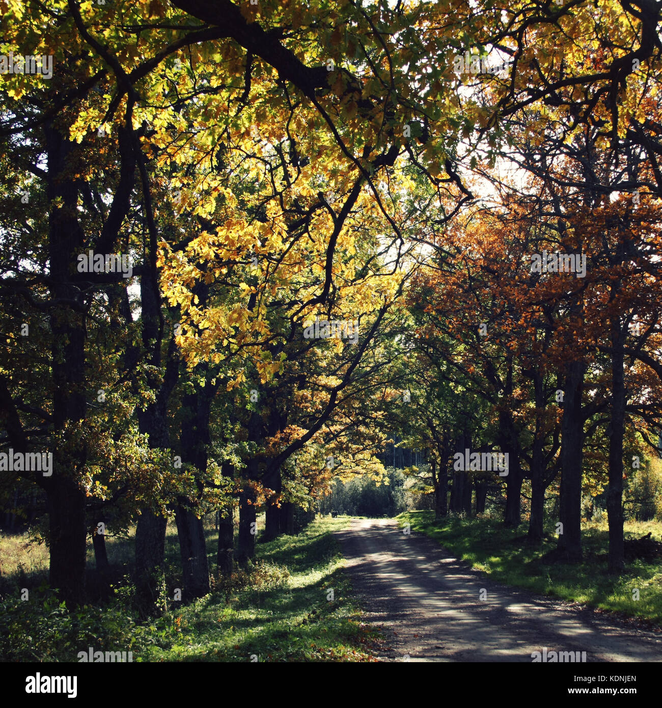 Valaam island hi-res stock photography and images - Alamy