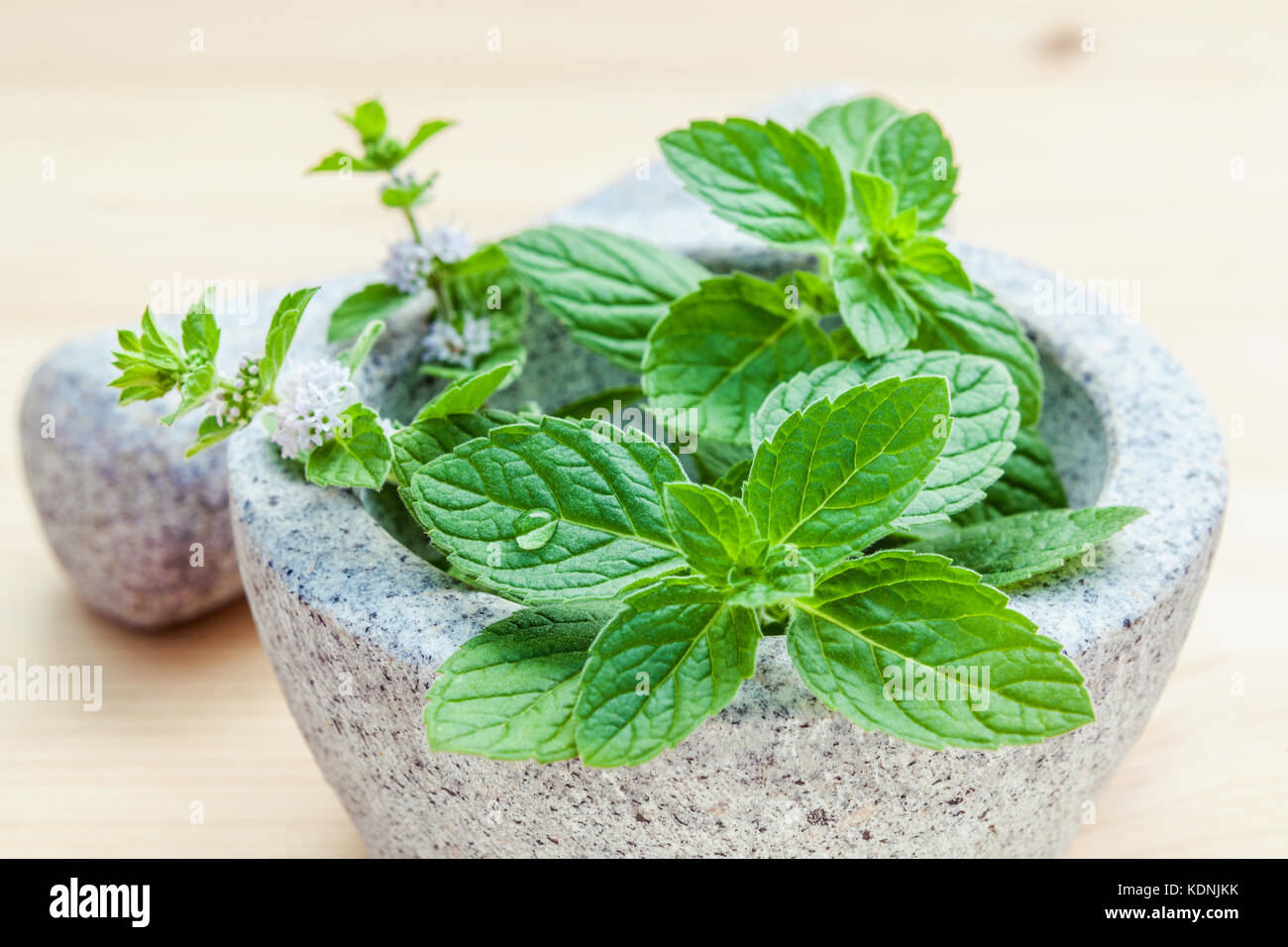 Closeup fresh peppermint leaves in the white mortar on bamboo cutting ...