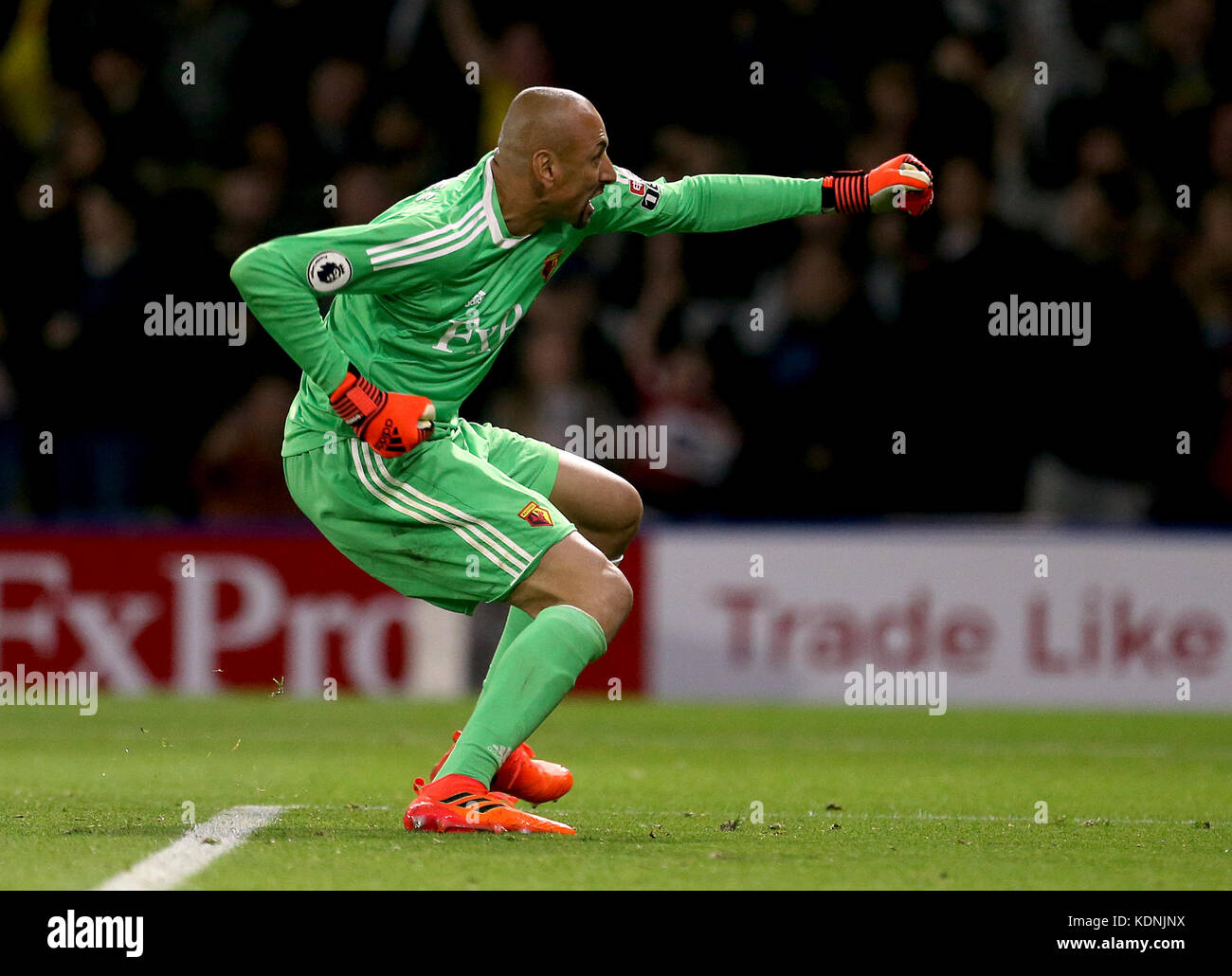Watford goalkeeper Heurelho Gomes celebrates after Watford's Troy ...