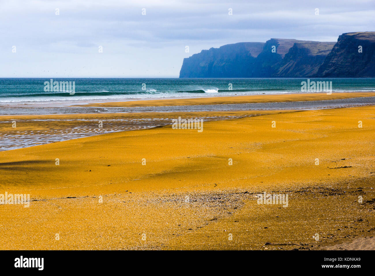 Rauðisandur, red sand beach, Westfjords, Iceland Stock Photo - Alamy