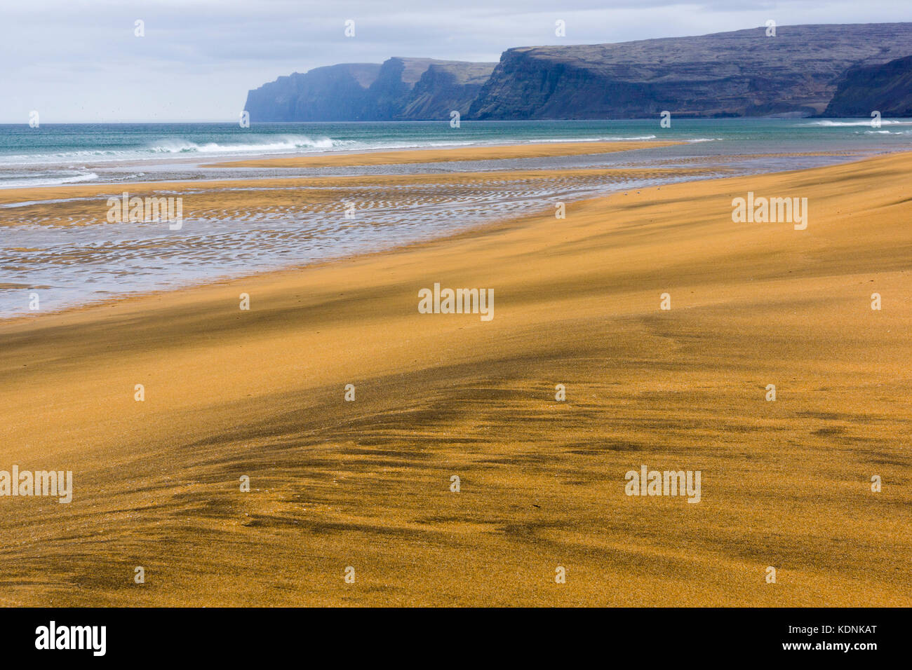 Rauðisandur, red sand beach, Westfjords, Iceland Stock Photo - Alamy