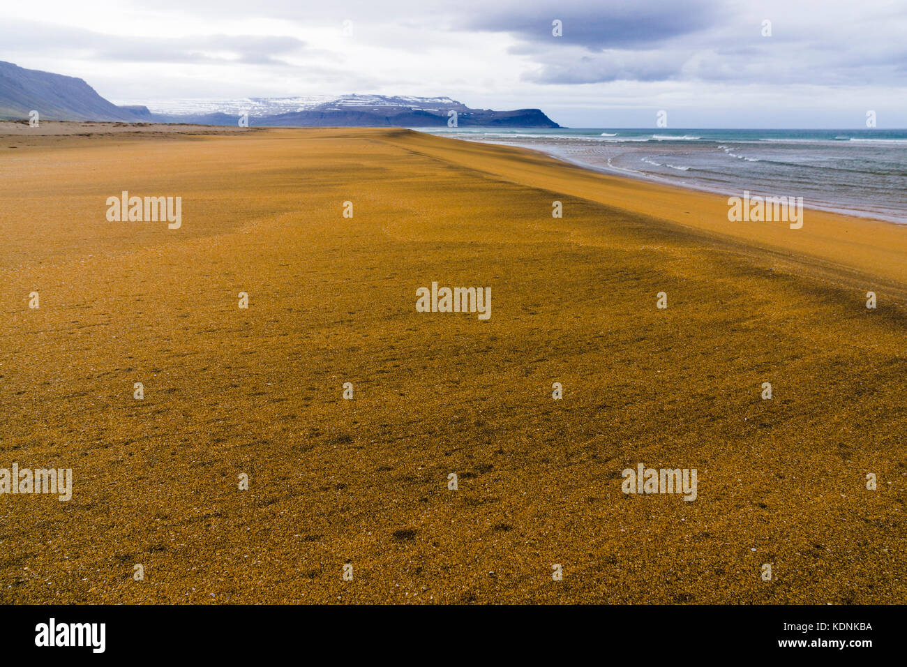 Rauðisandur, red sand beach, Westfjords, Iceland Stock Photo - Alamy