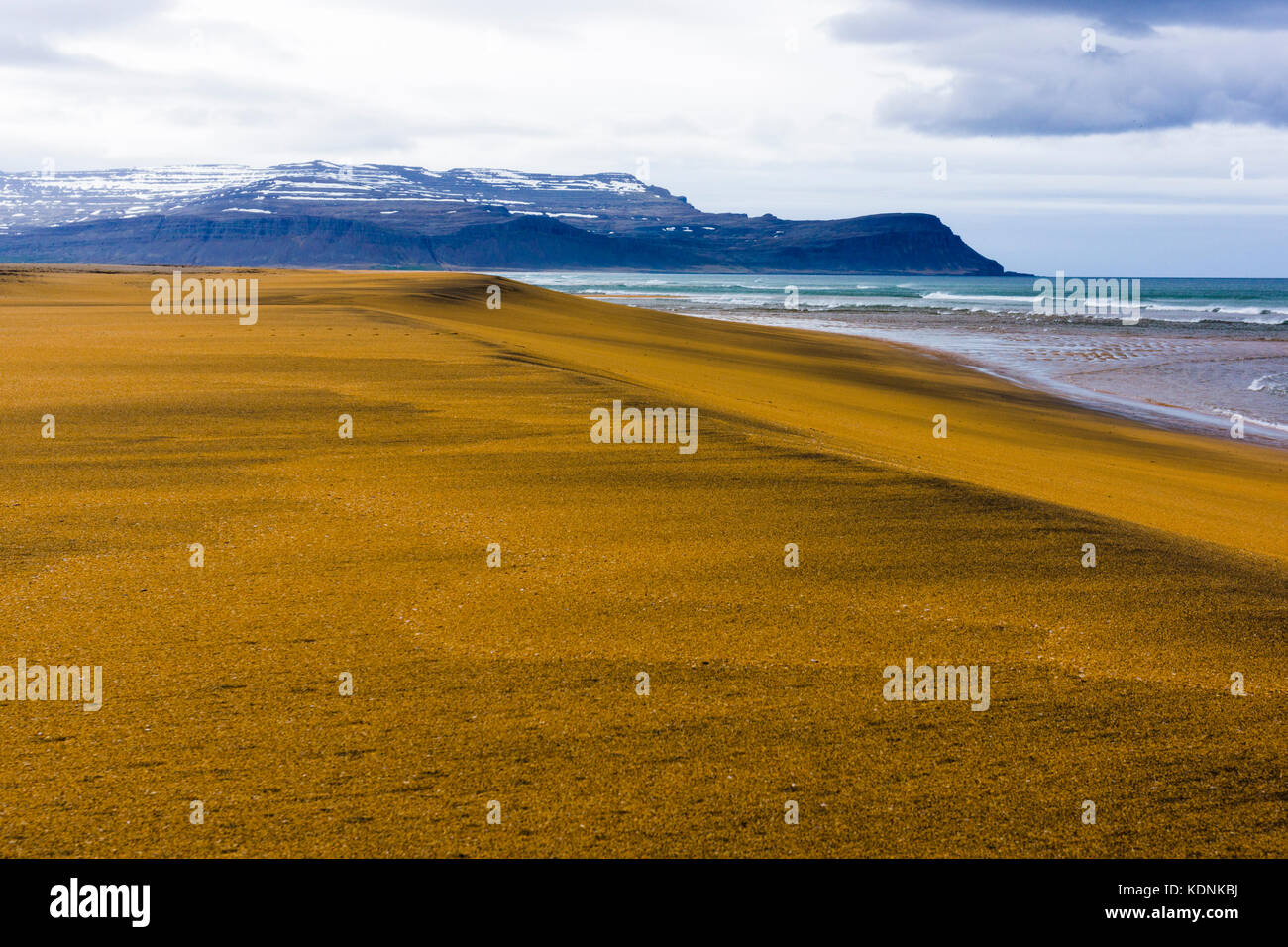 Rauðisandur, red sand beach, Westfjords, Iceland Stock Photo - Alamy