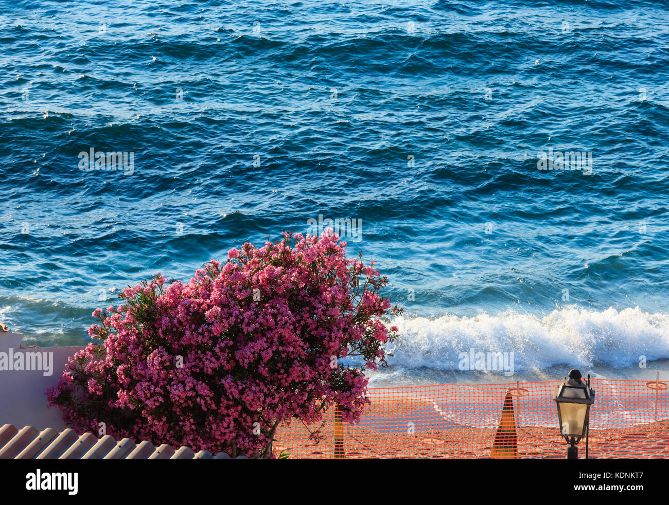 Tropea town beach and flowers, Calabria, Italy, Tyrrhenian Sea Stock ...