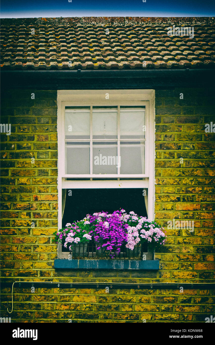 Window with flower box in bloom Stock Photo - Alamy
