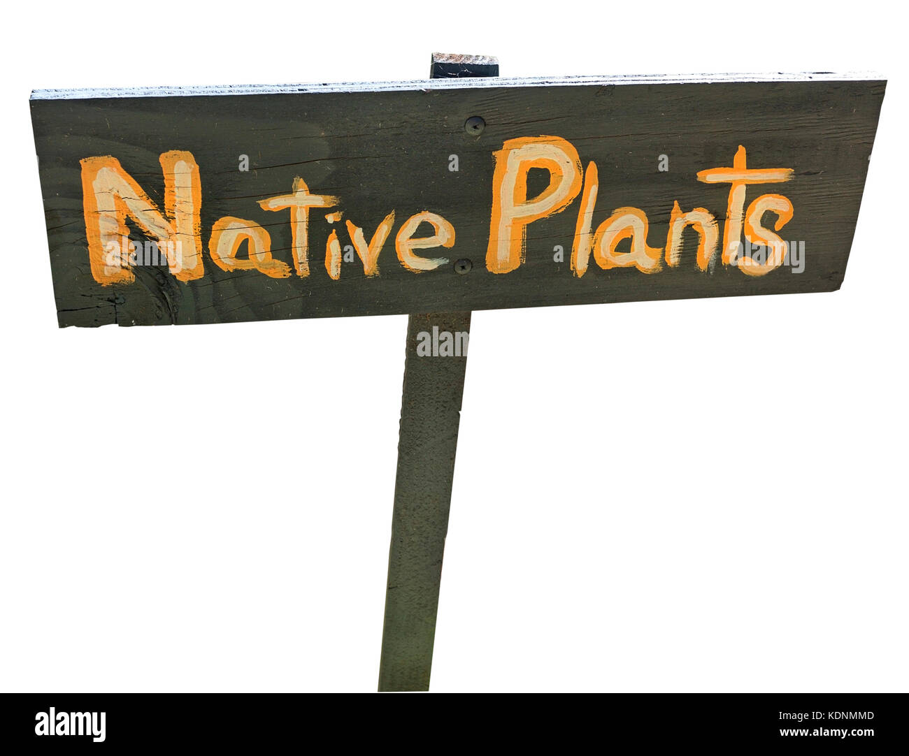 Restoration of native plants Cut Out Stock Images & Pictures - Alamy
