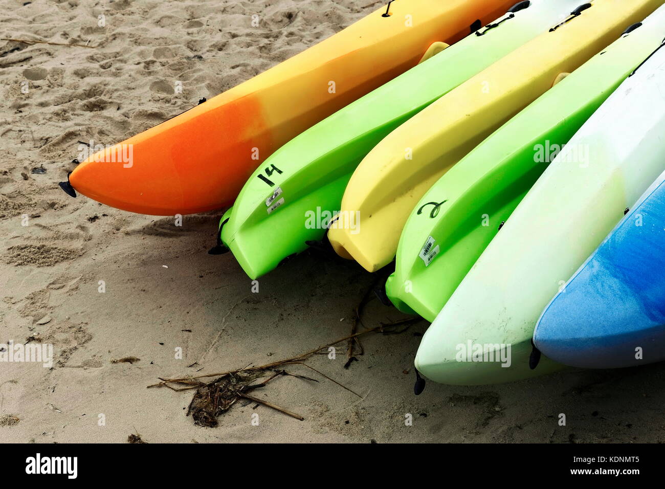 Rental kayaks on beach sand Stock Photo - Alamy