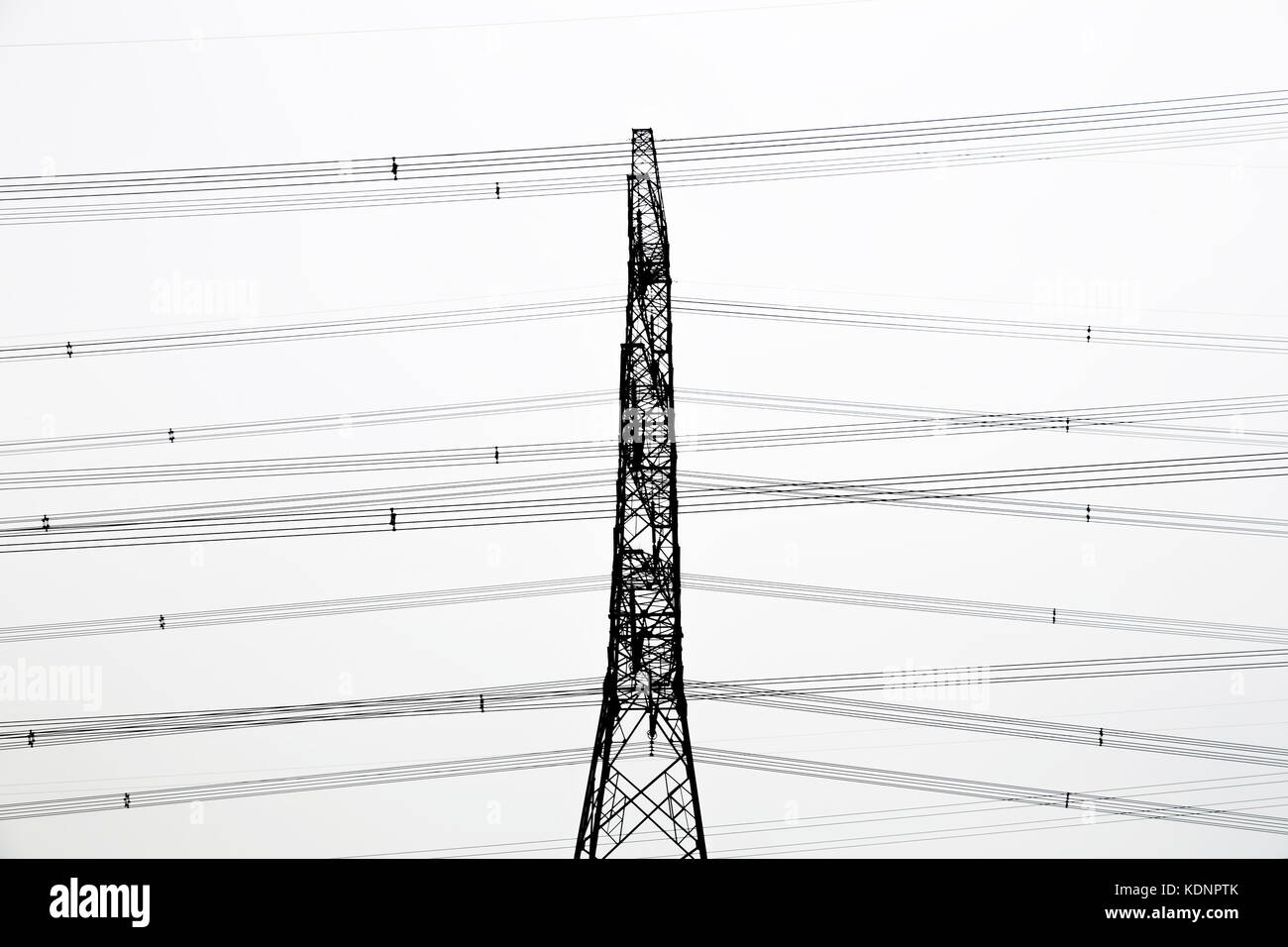 power line on a white background Stock Photo - Alamy