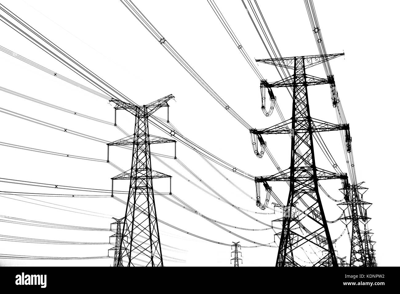Power Line On A White Background Stock Photo Alamy power-line-on-a-white-background-stock-photo-alamy