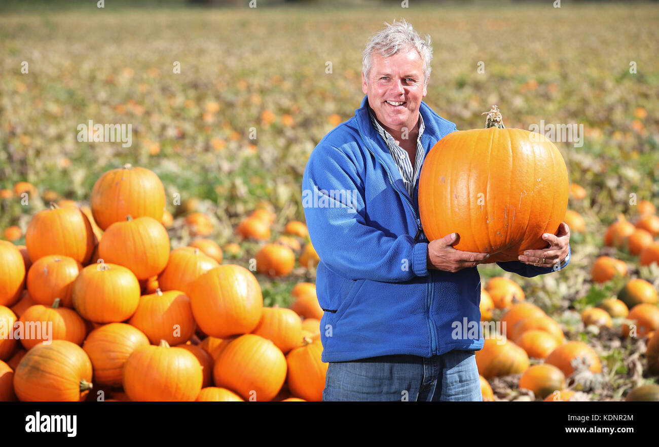 Asda has seen its biggest and earliest pumpkin harvest ever, with over ...