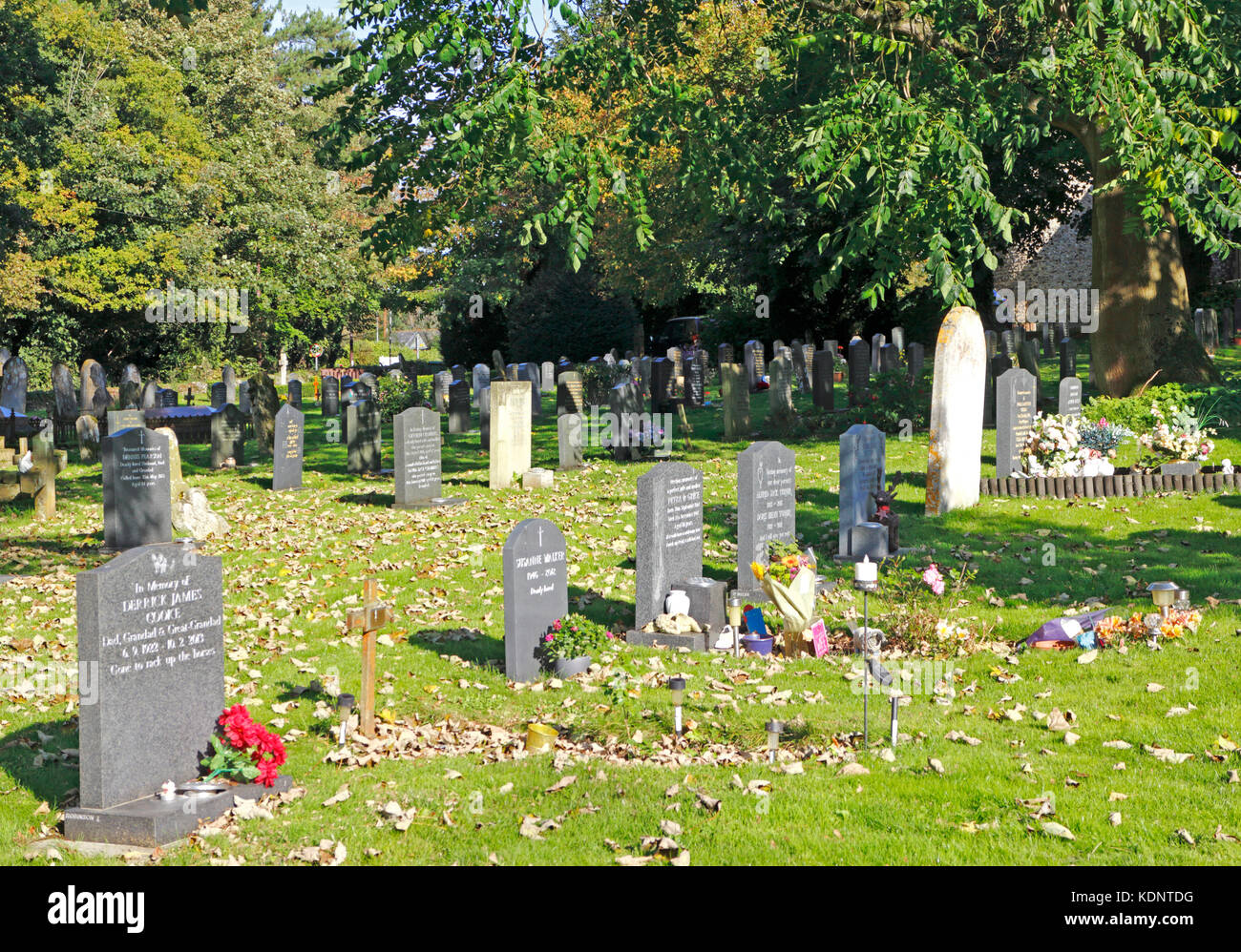 Taverham norfolk hi-res stock photography and images - Alamy