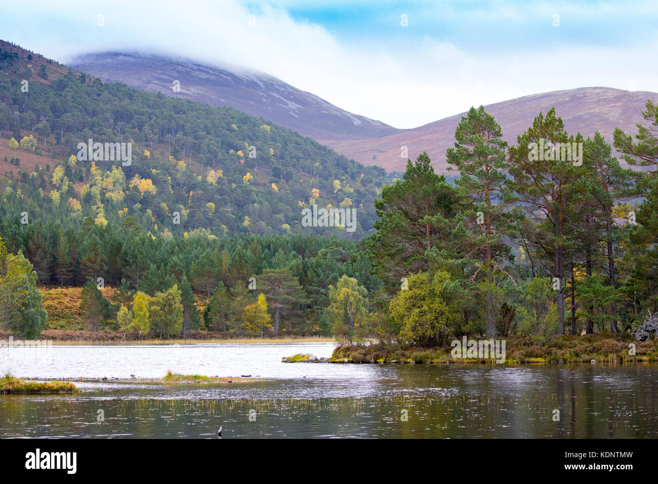 Scottish colours hi-res stock photography and images - Alamy