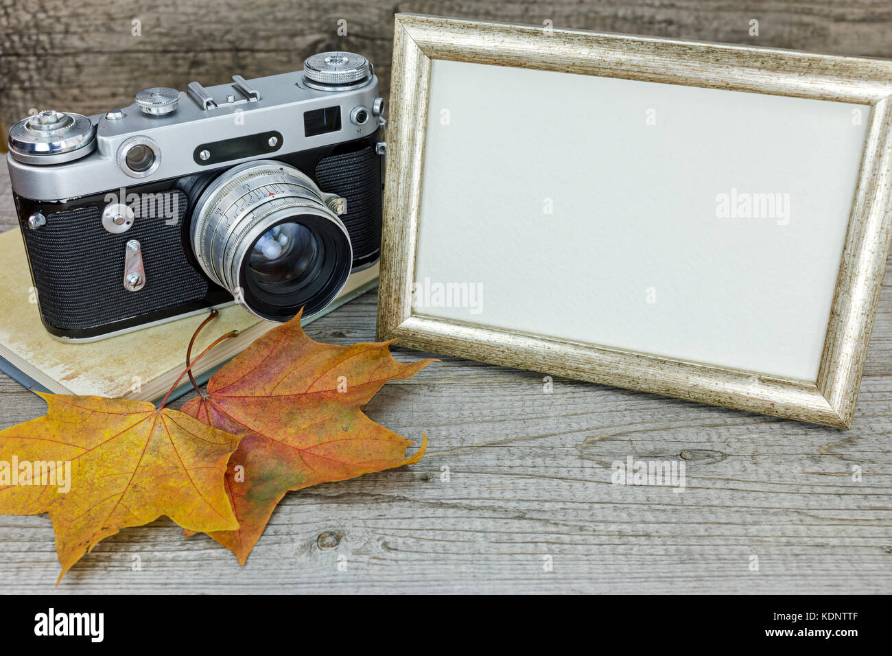 classic camera, photo frame and yellow fallen leaves on old gray wood ...