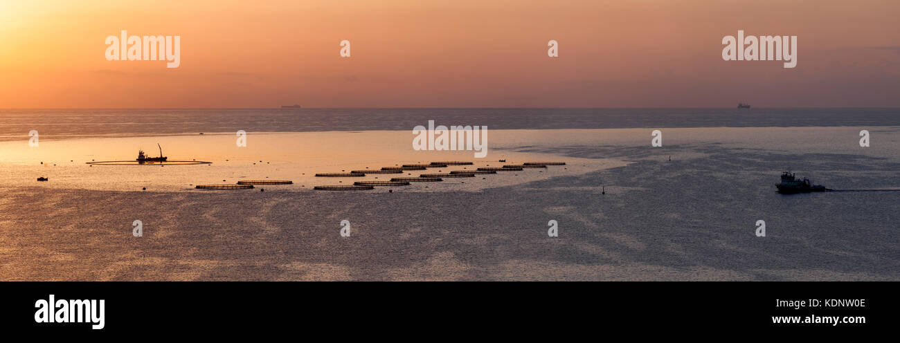 Malta fish farm hi-res stock photography and images - Alamy