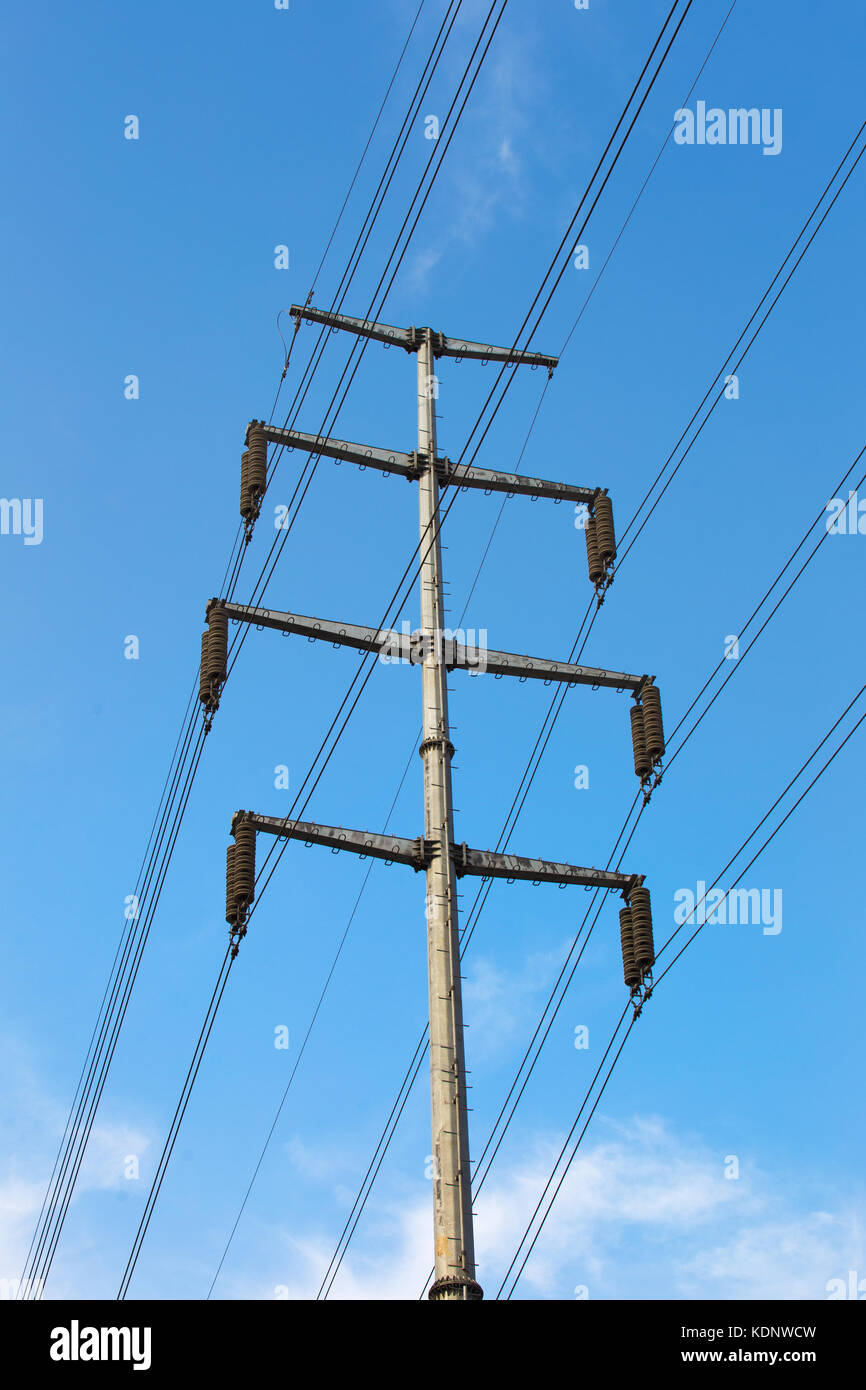 Large view on the powerlines on the field Stock Photo - Alamy