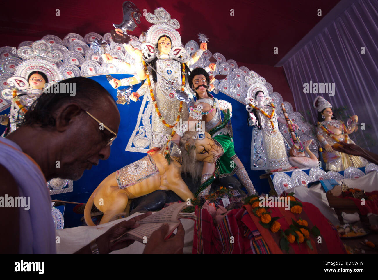 man and animal of sakhari bazar and other places old dhaka on the day ...