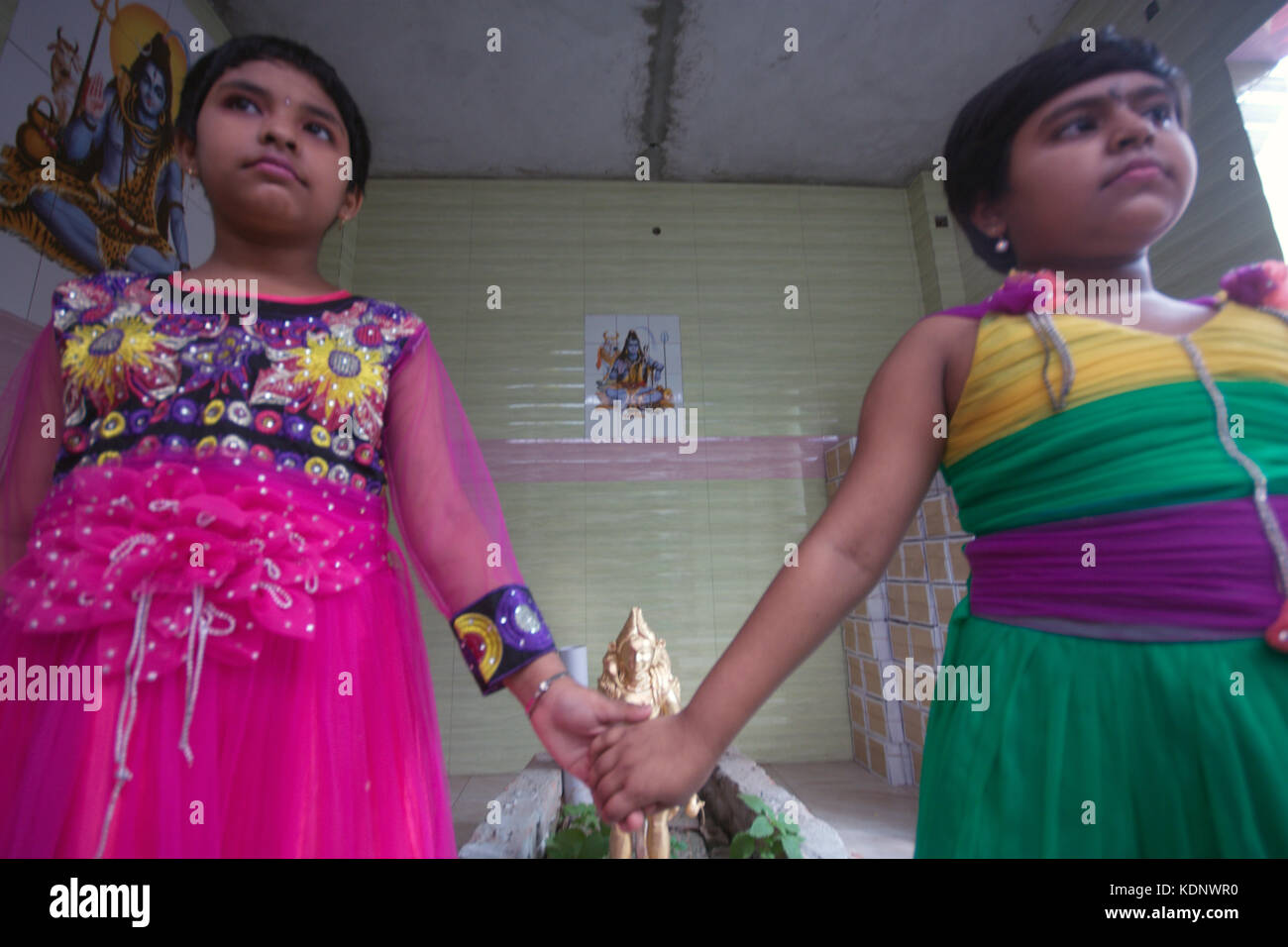 man and animal of sakhari bazar and other places old dhaka on the day ...