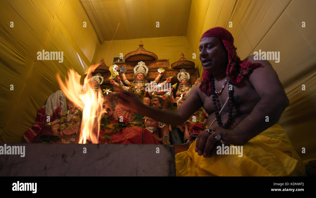 man and animal of sakhari bazar and other places old dhaka on the day ...