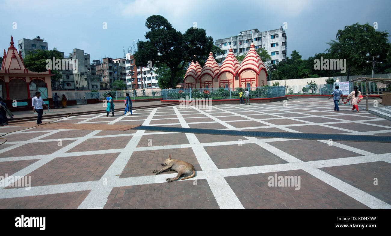 man and animal of sakhari bazar and other places old dhaka on the day ...