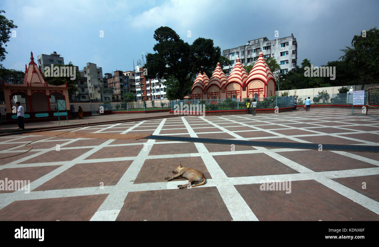 man and animal of sakhari bazar and other places old dhaka on the day ...
