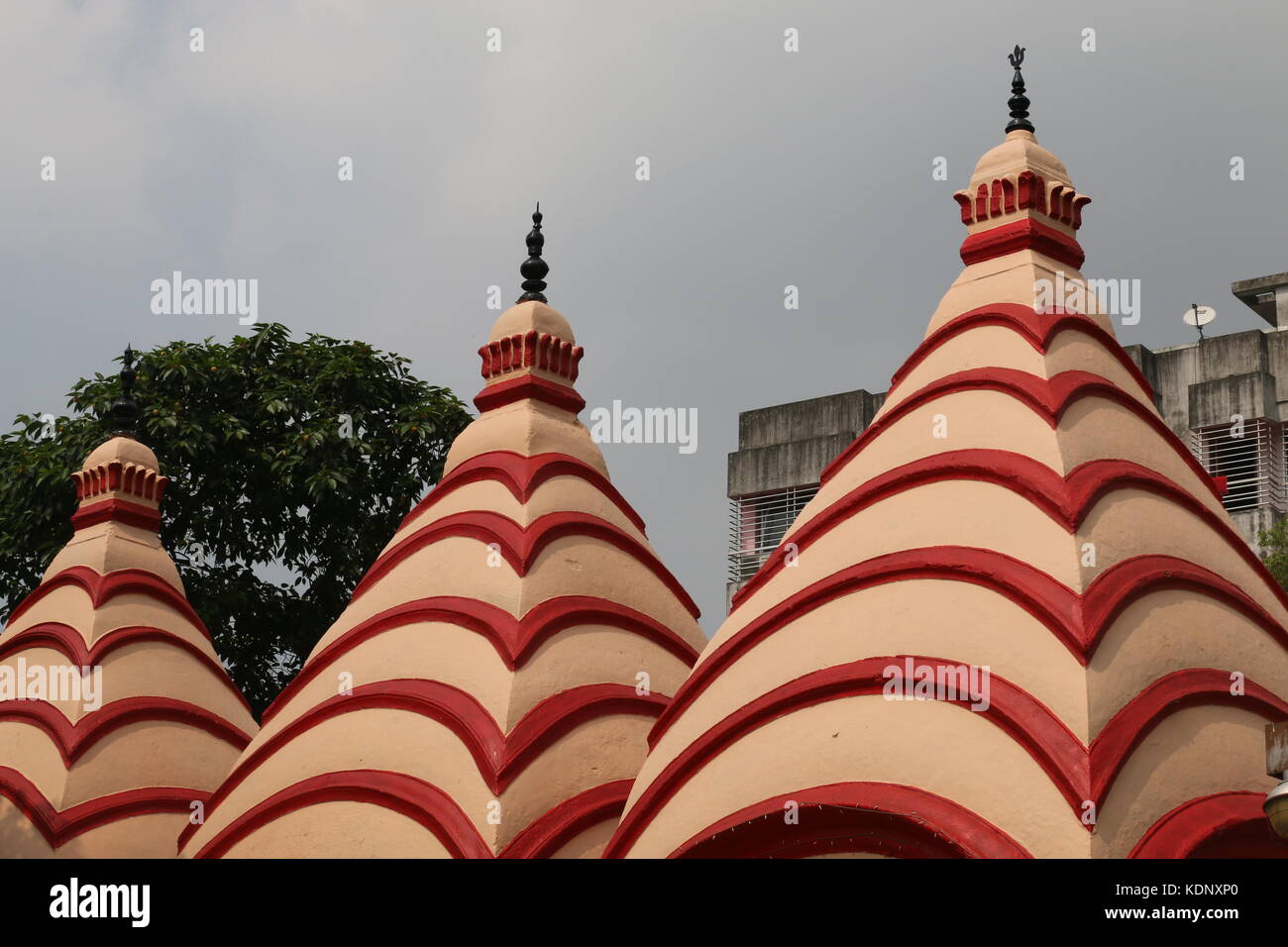 man and animal of sakhari bazar and other places old dhaka on the day ...