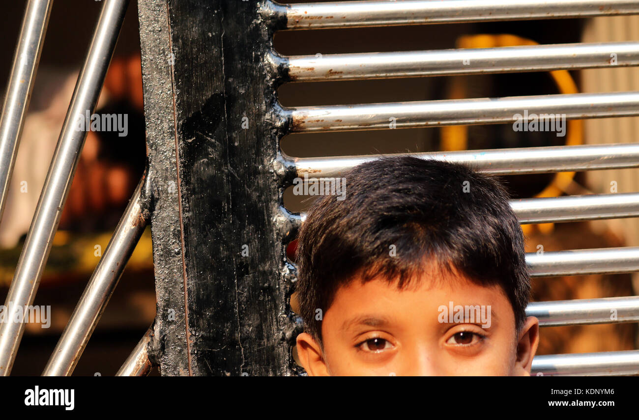 man and animal of sakhari bazar and other places old dhaka on the day ...