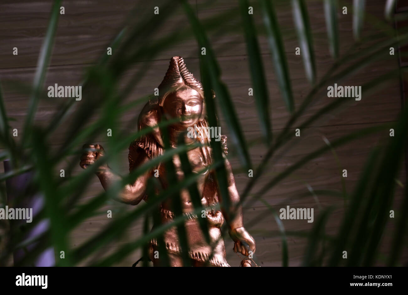 man and animal of sakhari bazar and other places old dhaka on the day ...