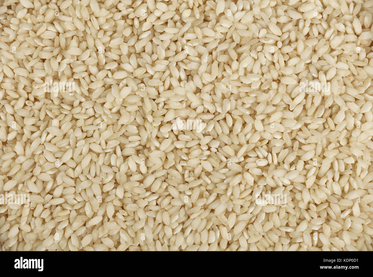 Small Grain Rice