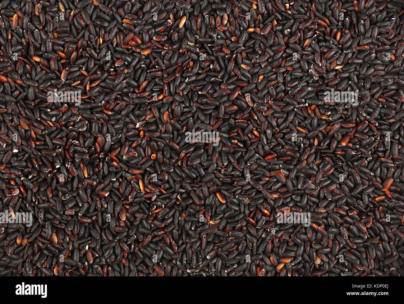 Unhulled rice grain hi-res stock photography and images - Alamy