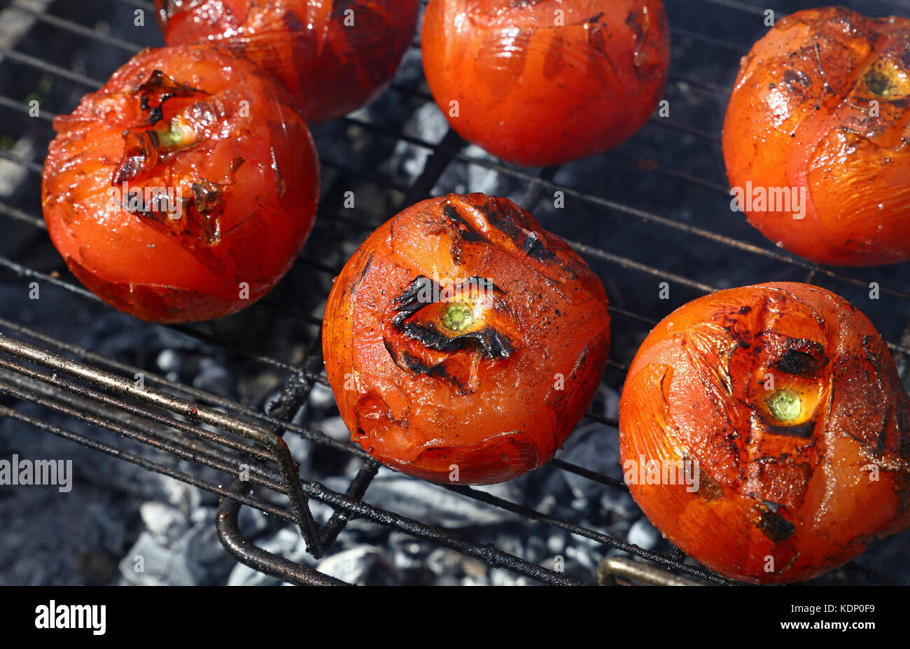 Red tomatoes with grillmarks cooked on char barbecue grill with smoke ...